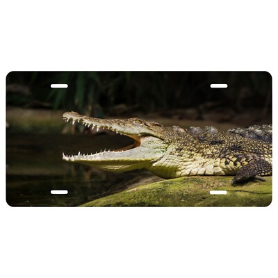 Alligator Novelty Front License Plate - decorative auto tag - Wall ...