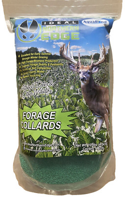 Ideal Northern Edge Forage Collards Food Plot Seed 10lbs (93923) | eBay