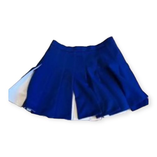 Vintage Cheerleading & DanczTeam Fly Away Blue &White Skirt | eBay