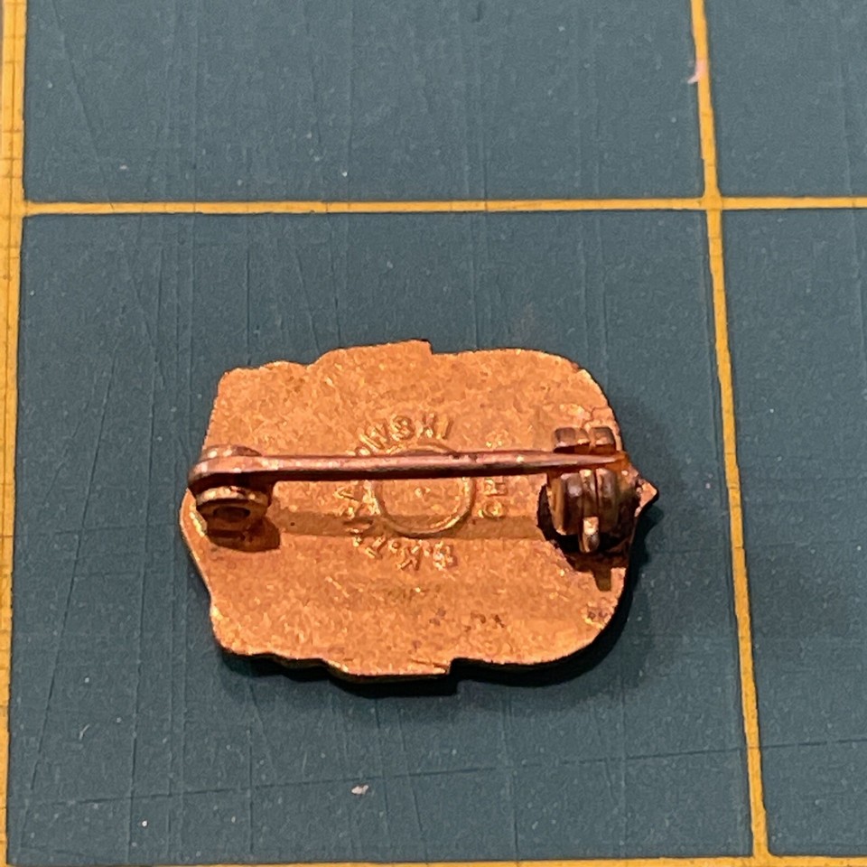 Vintage Collectible Pin: ZNP PNA Polish National Alliance Shield Crest ...