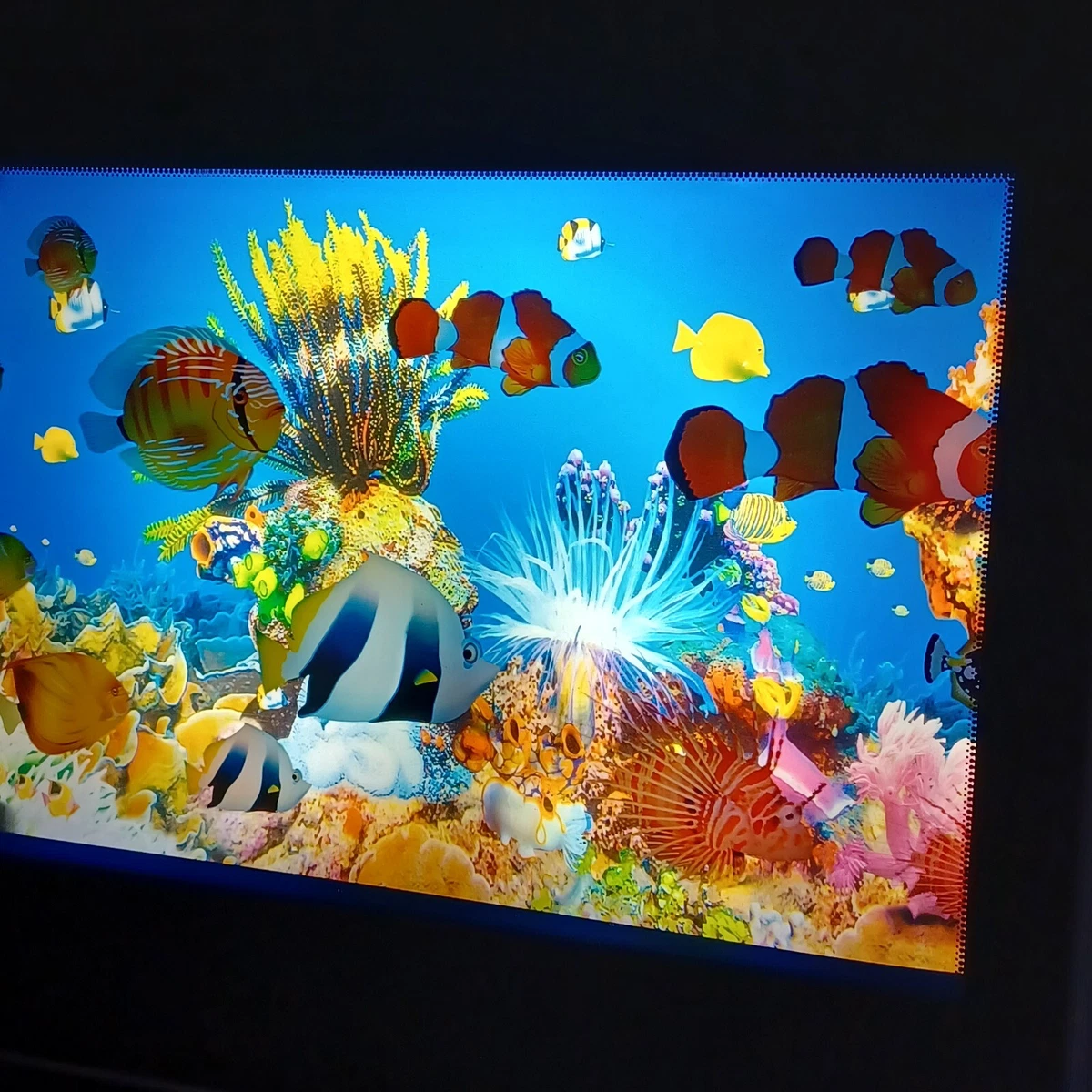 Moving Fish Lamp