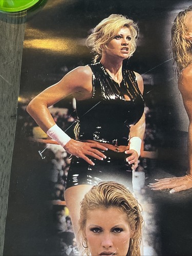 WWF ~ Sable ~ Norman James ~ Poster Rare ~ Vintage ~ Wrestling ~ Pinup ...