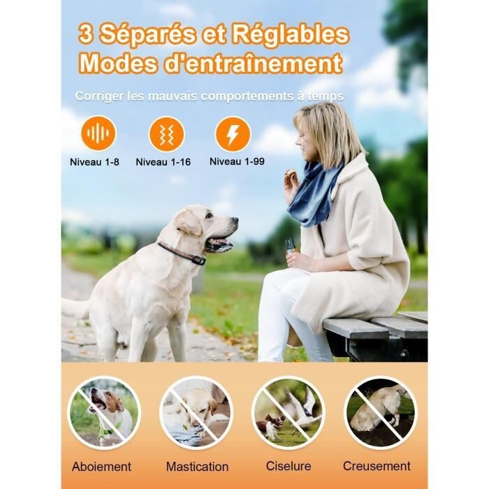 2 Dog Training Collars 2600M IP67 Rechargeable Vibration Remote Orange ...