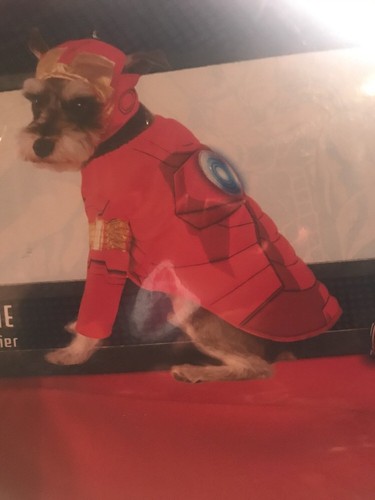 Marvel: Avengers Assemble Deluxe Iron Man Pet Costume | eBay