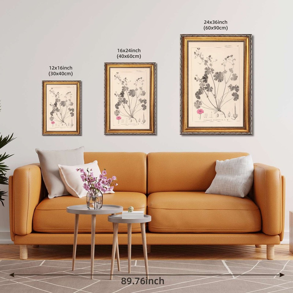 Botanical Geranium Pyrenaicum Wall Art Canvas Oil Paintings ...