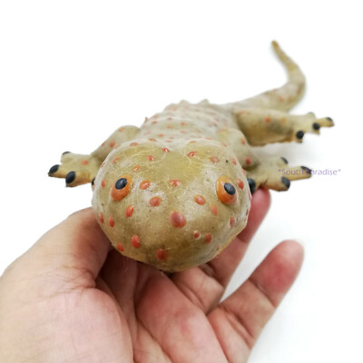 Realistic Rubber Gecko Toys Fake Soft Lizard Animal Reptile Wall Art ...