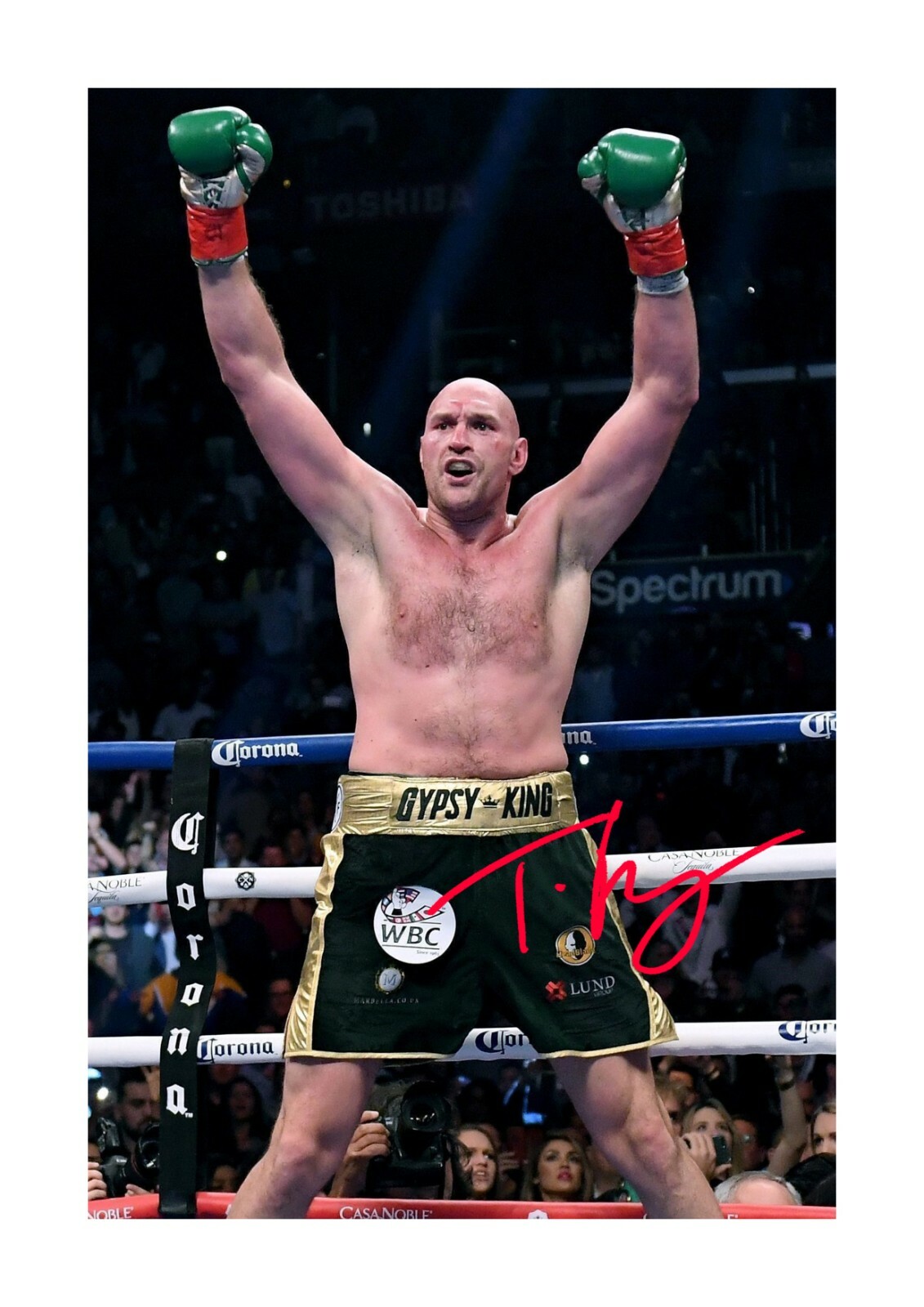 Tyson Fury 2 Gypsy King A4 reproduction autograph poster with choice of ...
