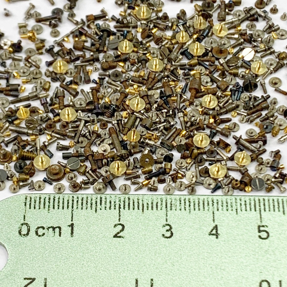 100 Watch Screws Pocket Wrist Silver Blue Gold Parts Watchmaker Repair ...