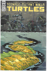Teenage Mutant Ninja Turtles Comic 106 Cover A Daniel First Print 2020 ...