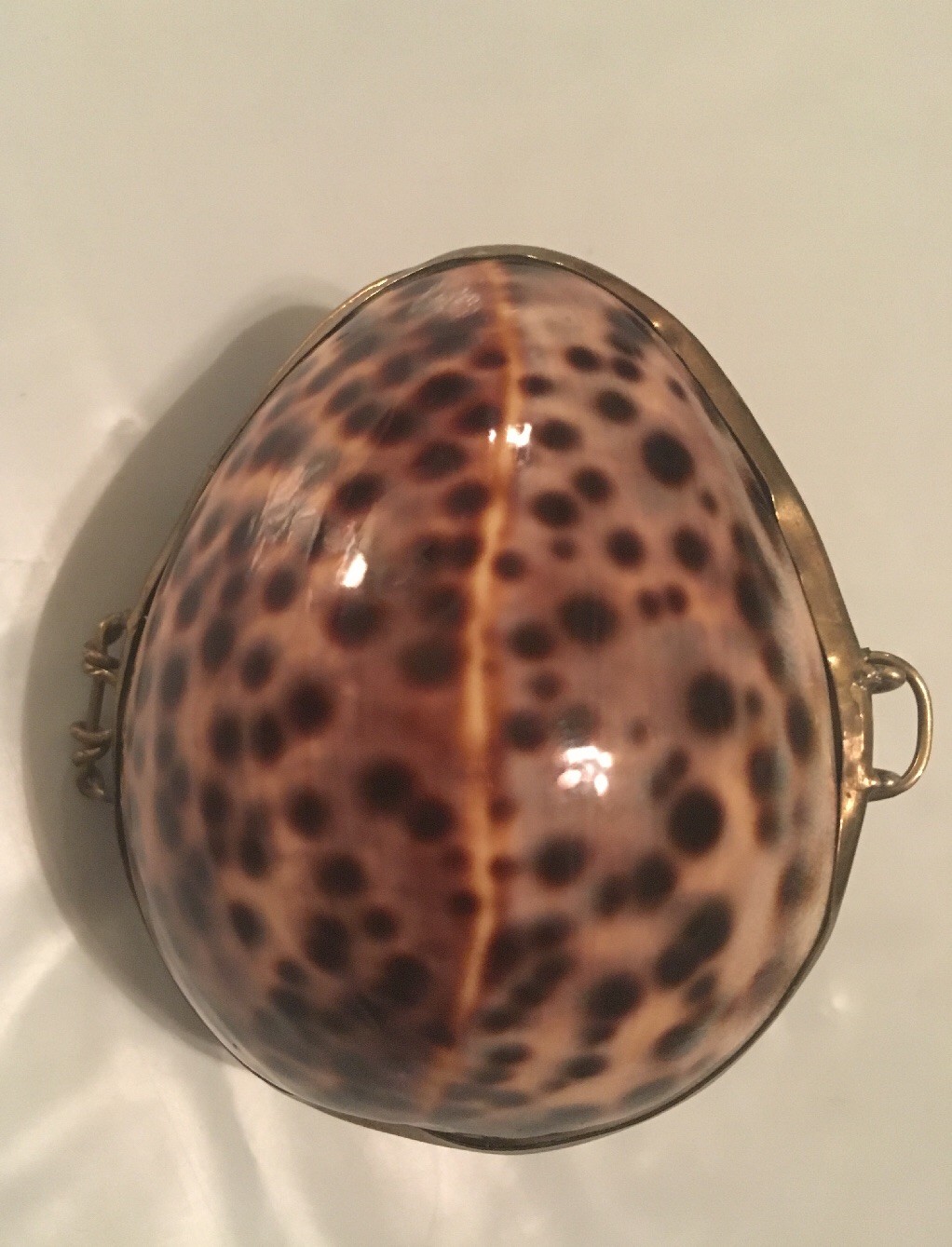 Cowrie Shell Trinket Box Brass Hinged Seashell Jewelry Egg Nice 🔥 | eBay