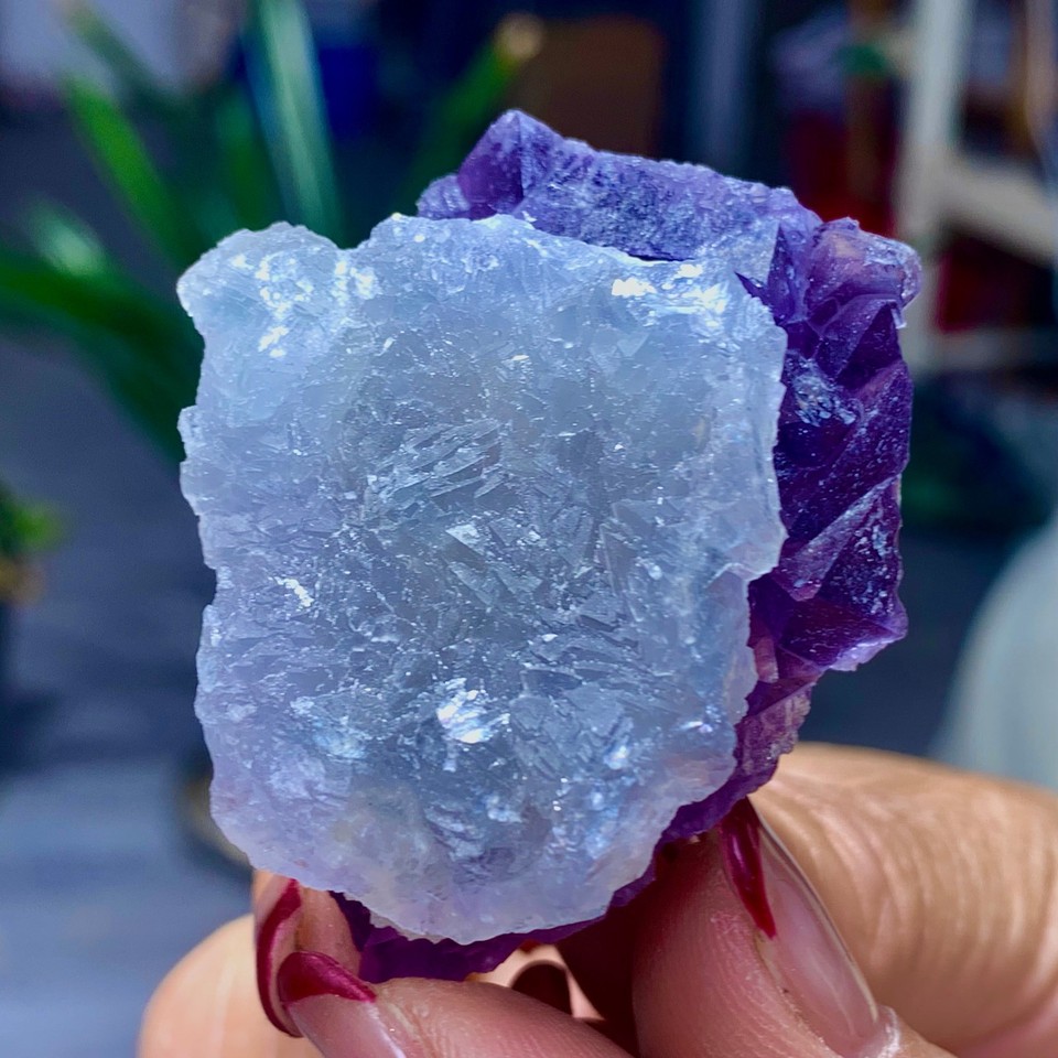67G Rare Purple Green blue cubic fluorite mineral crystal sample ...