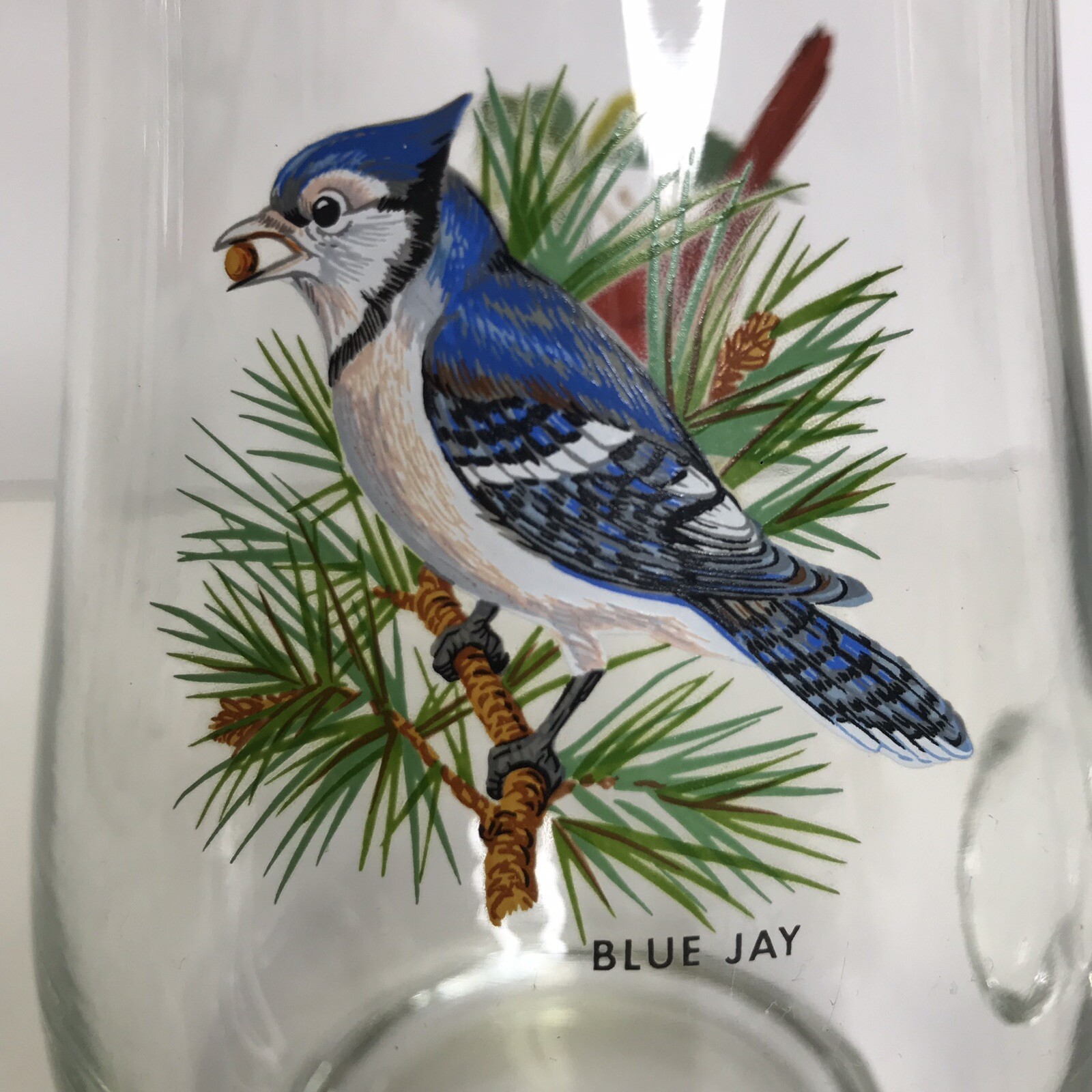 Vintage Weston West Virginia Pitcher Glass Birds Cardinal Blue Jay Gold ...