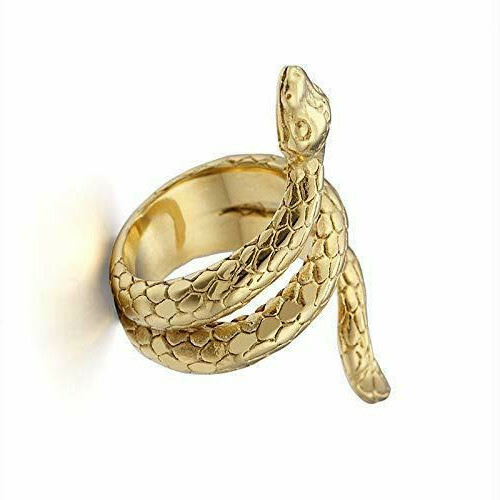 KAAL SARP DOSH NIVARAN Ring Debt removal Smooth Happy Clear Path Life ...