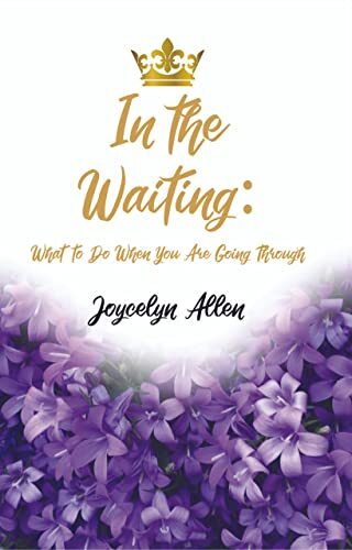 Joycelyn Allen In the Waiting (Poche) 9781685371791 | eBay