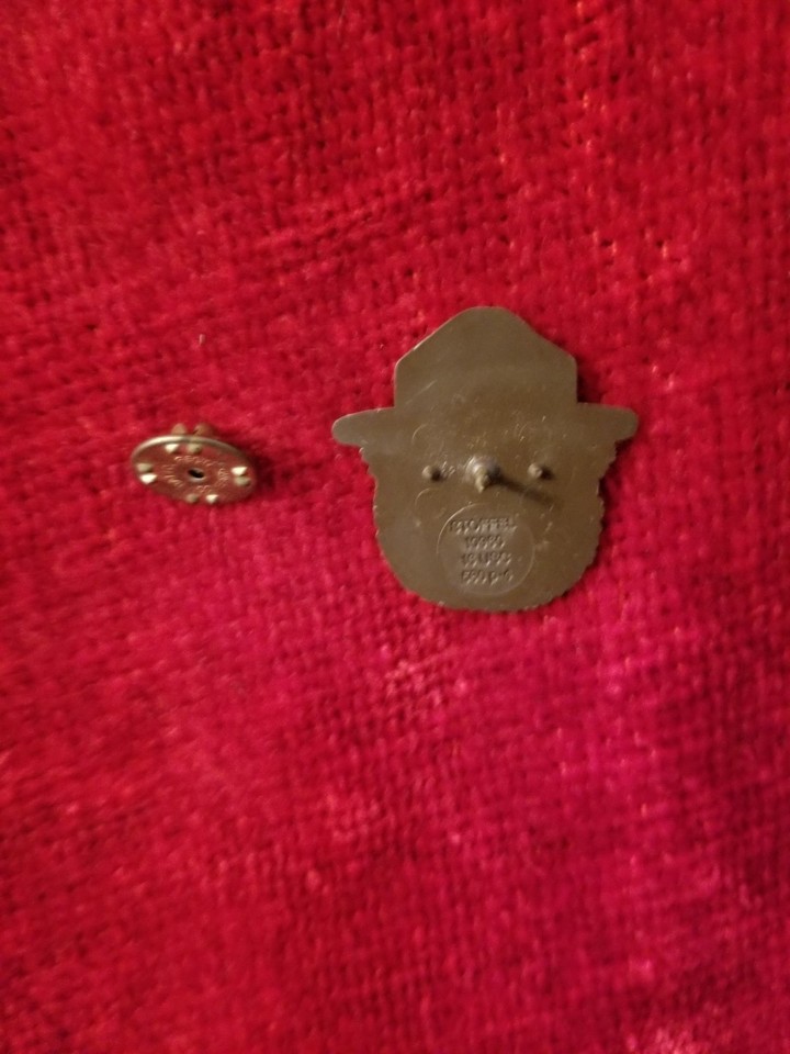 SMOKEY THE BEAR Plastic Lapel Pin | eBay UK
