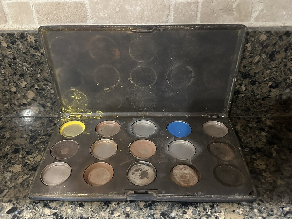 MAC Pan Pro Colour 15 Magnetic EYESHADOW Palette + ELECTRIC EEL SHADOW ...