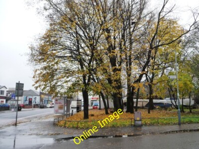 Photo 6x4 A splash of autumn colour, Shettleston Springboig At the ...