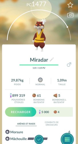 Pokémon Go Miradar / Watchog Trade | eBay