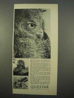 1963 Questar Telescope Ad - Small Screech Owl | eBay
