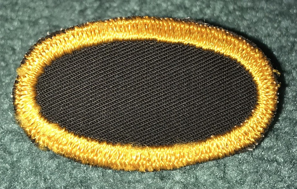 WWII 541st Parachute Infantry Battalion Jump Wing Oval On Twill B | eBay