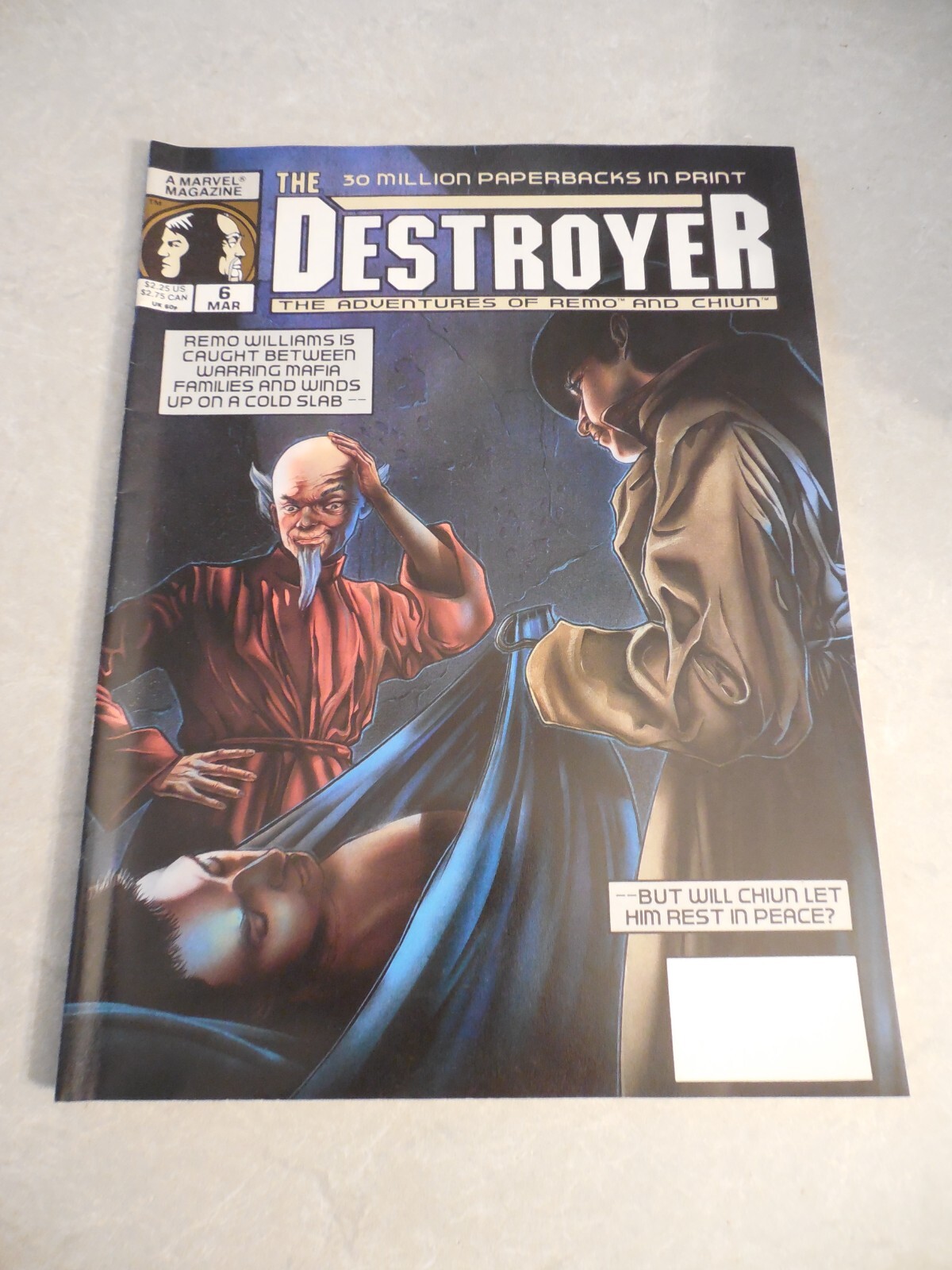 THE DESTROYER: ADVENTURES OF REMO AND CHIUN #6, MARVEL MAGAZINE, 1990 ...
