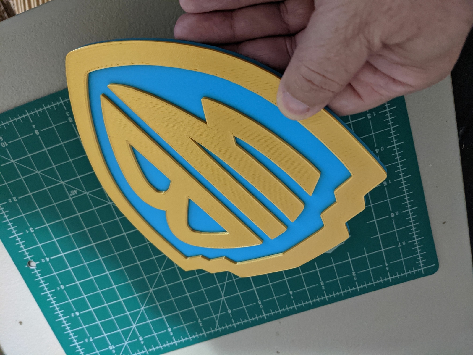 Warner Brothers WB Bros 3D printed logo shield wall display | eBay