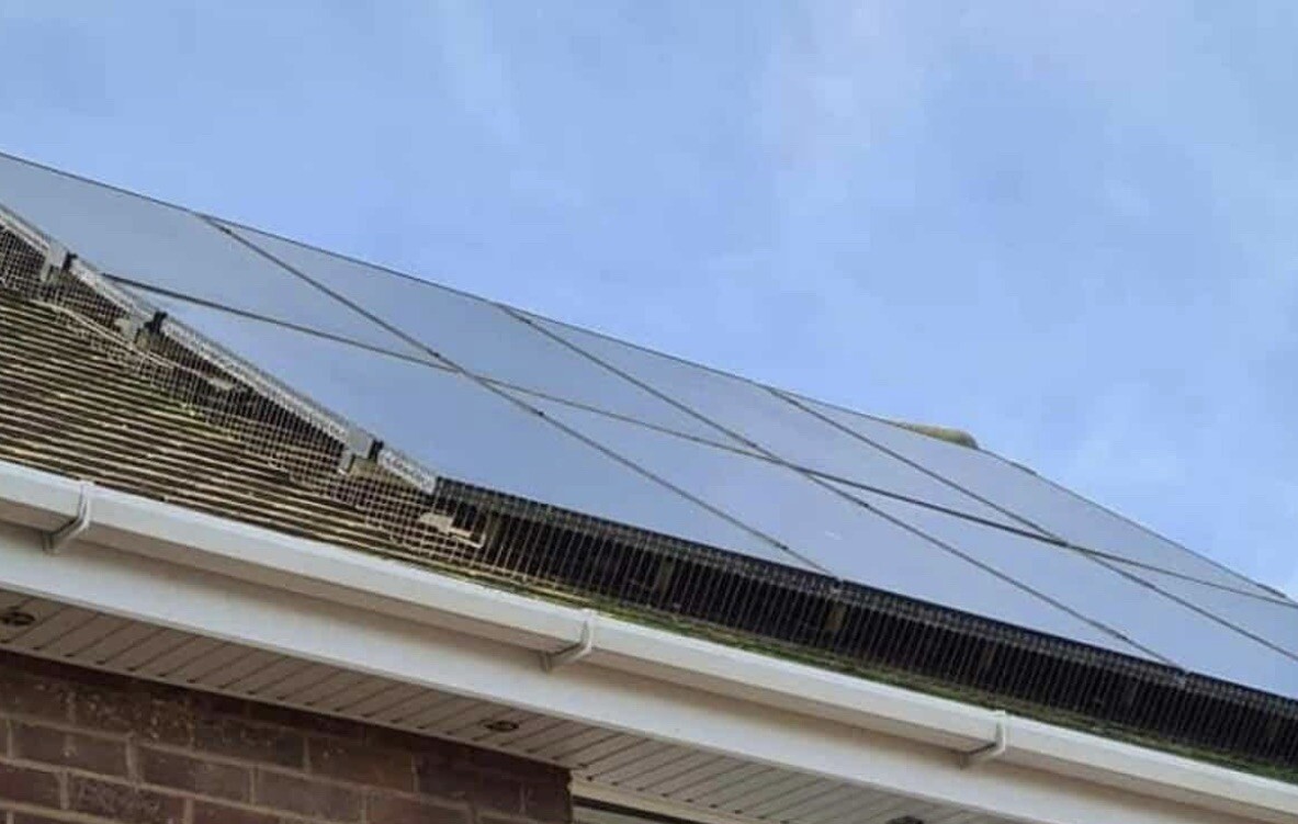 Solar Pannel Bird Guard Spike - Pigeon Bird Proofing Under Pannels ...