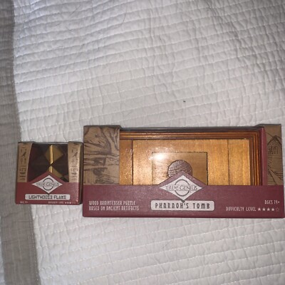 True Genius Puzzles | eBay