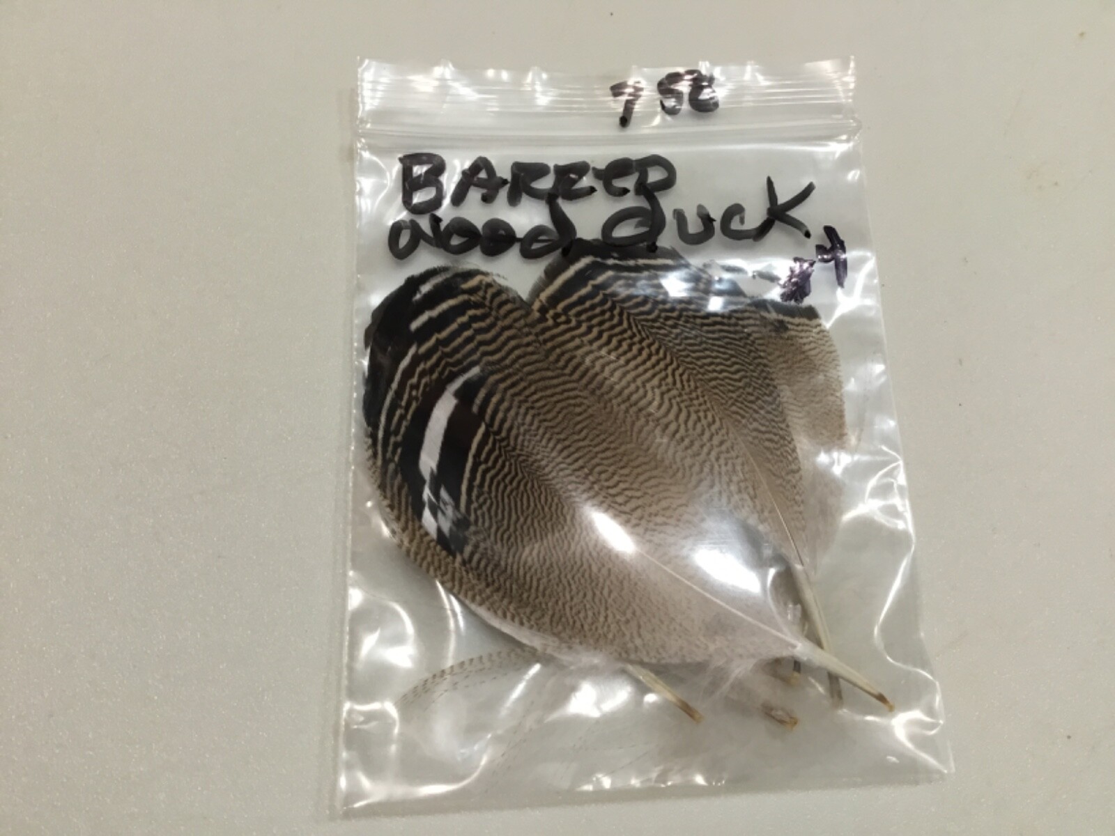 Male Wood Duck barred flank feathers, post is .78 to low 48. (Item #4 ...