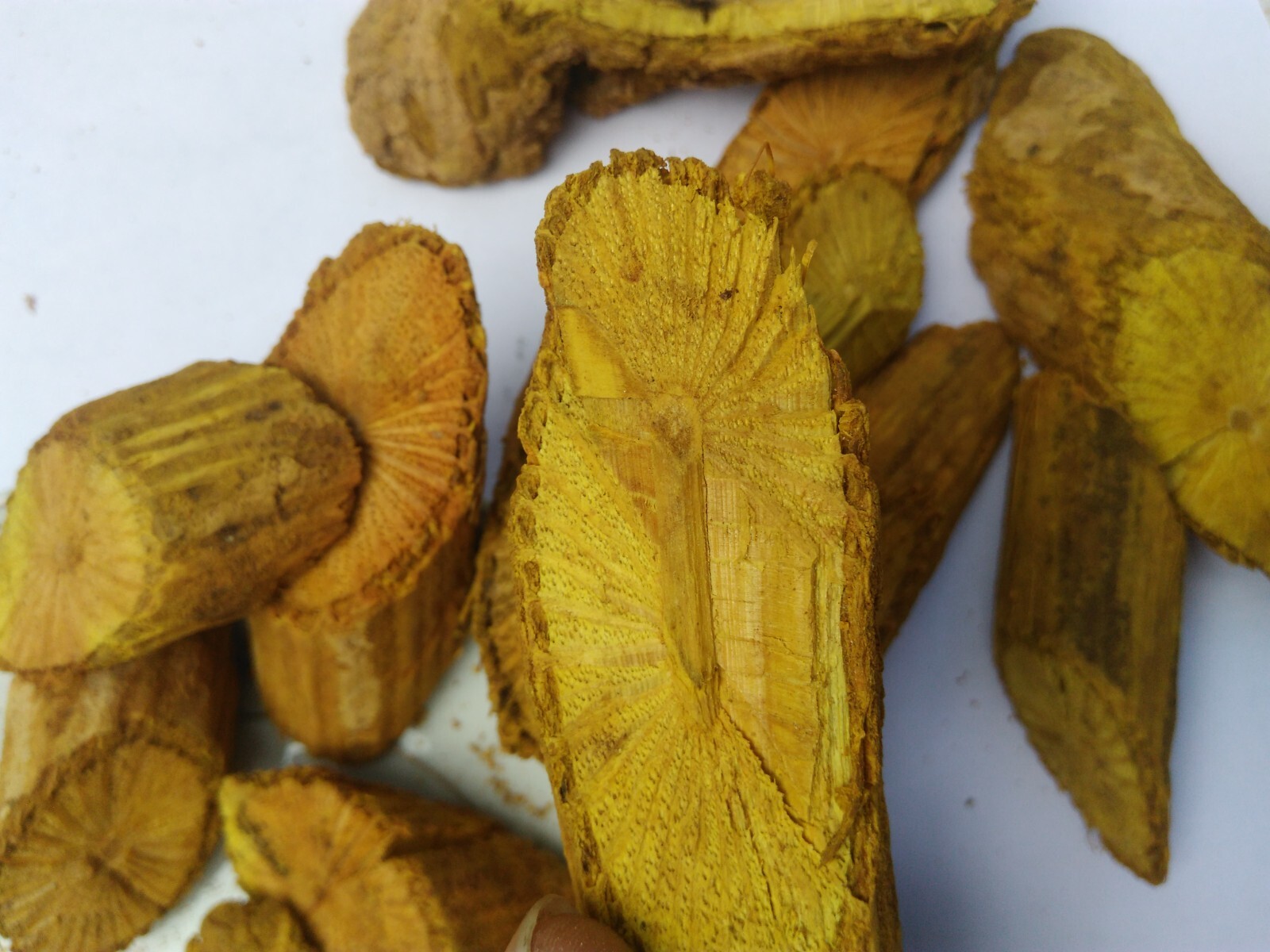 Venivel Chips Venivel_Geta sticks (Coscinium) Natural Herbal Dried Free ...