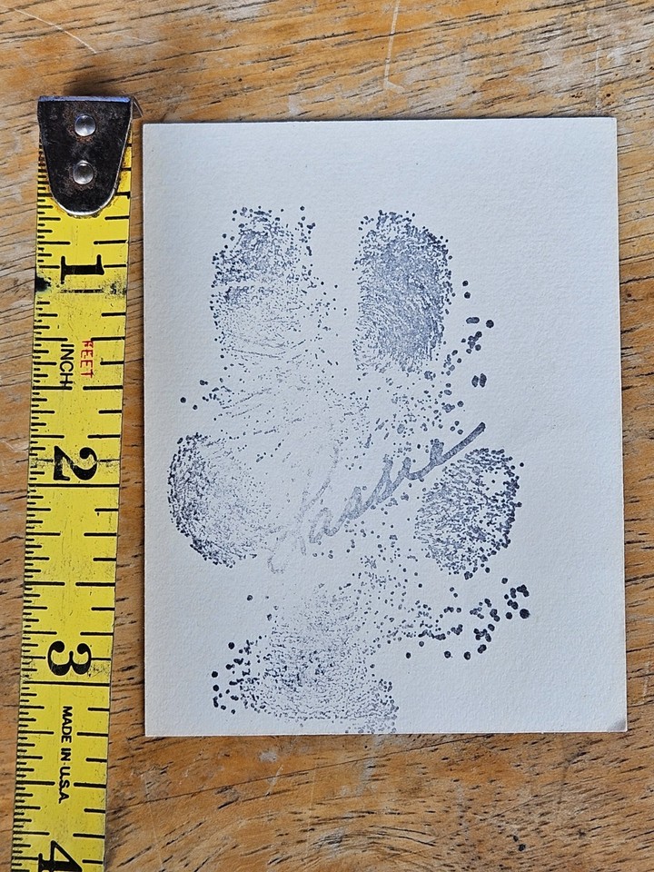 VINTAGE LASSIE COLLIE DOG MGM TV STAR PHOTO PAW PRINT CARD RUDD ...