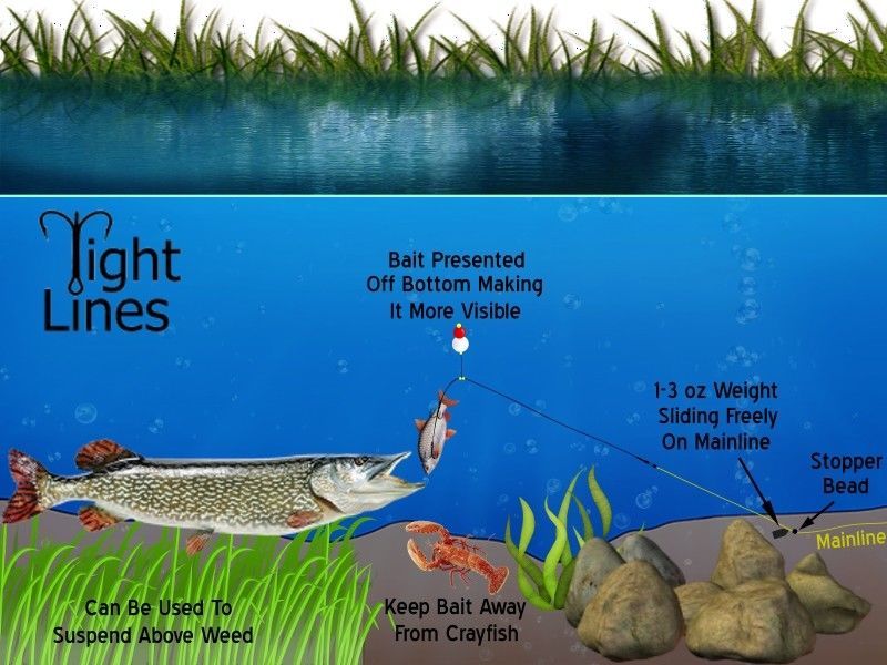 X3 - Size 6 Semi-Barbed Pop Up wire Trace - Pike Fishing Dead Bait Rig ...