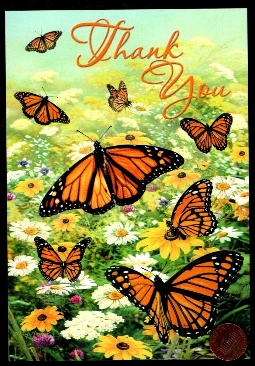 Thank You Pictures With Butterflies