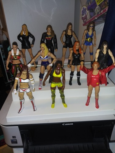 WWE Elite Mattel Lot Of 11 - Divas Woman's Wrestling Loose Figures | eBay