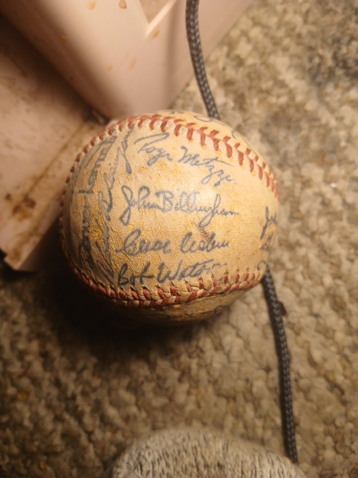 Signed Baseball | eBay