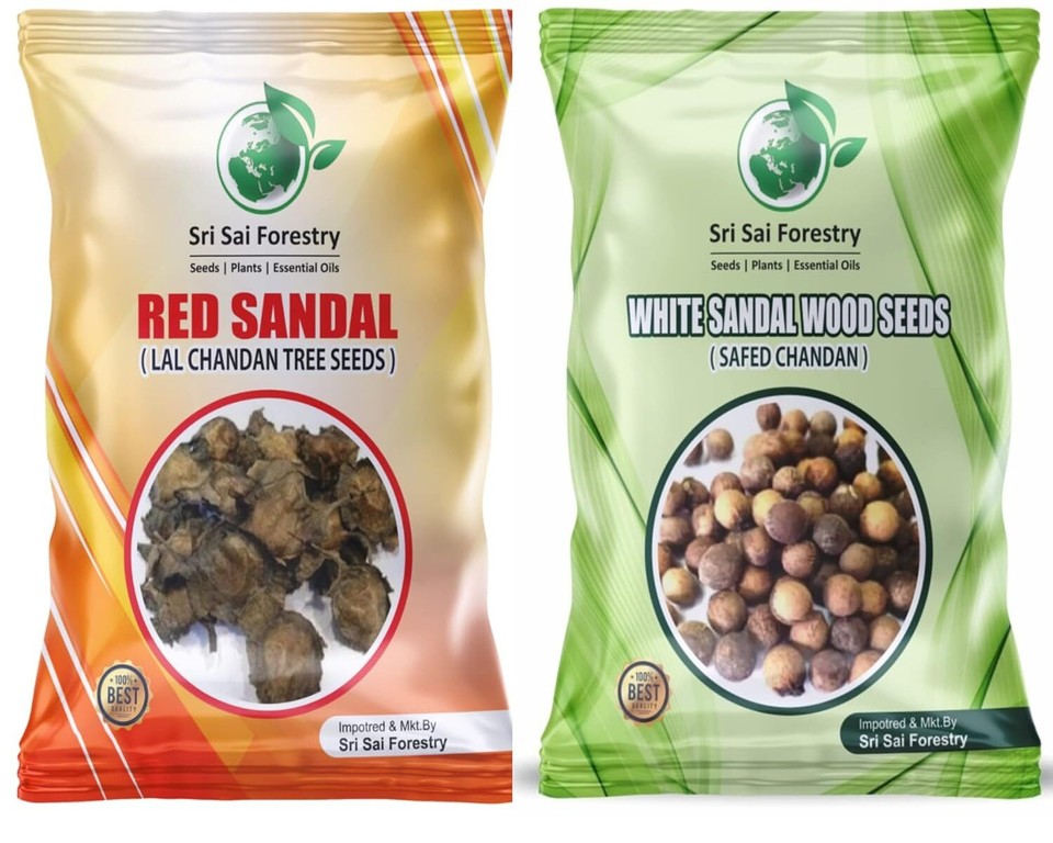 White Sandalwood (Safed Chandan) & Red Sandalwood (Lal Chandan) Tree ...