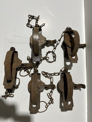 Lot Of (5) Five Victor Oneida Jump #2 Spring Traps | eBay