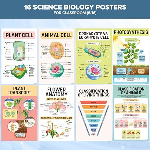 Gcse Biology Posters