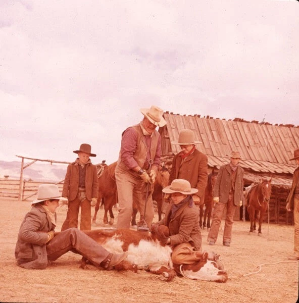 The Cowboys Stephen Hudis