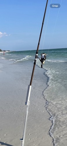 fishing rod Holder For Surf Beach / Sand Spike | eBay