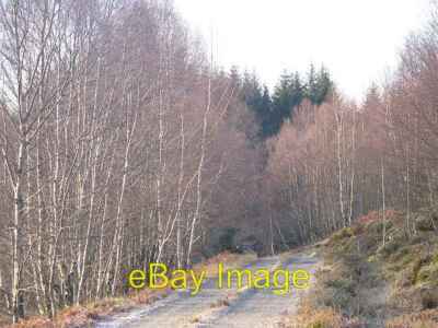 Photo 6x4 Loch na Stac road Coille Levishie Road serving the Bhl raidh ...