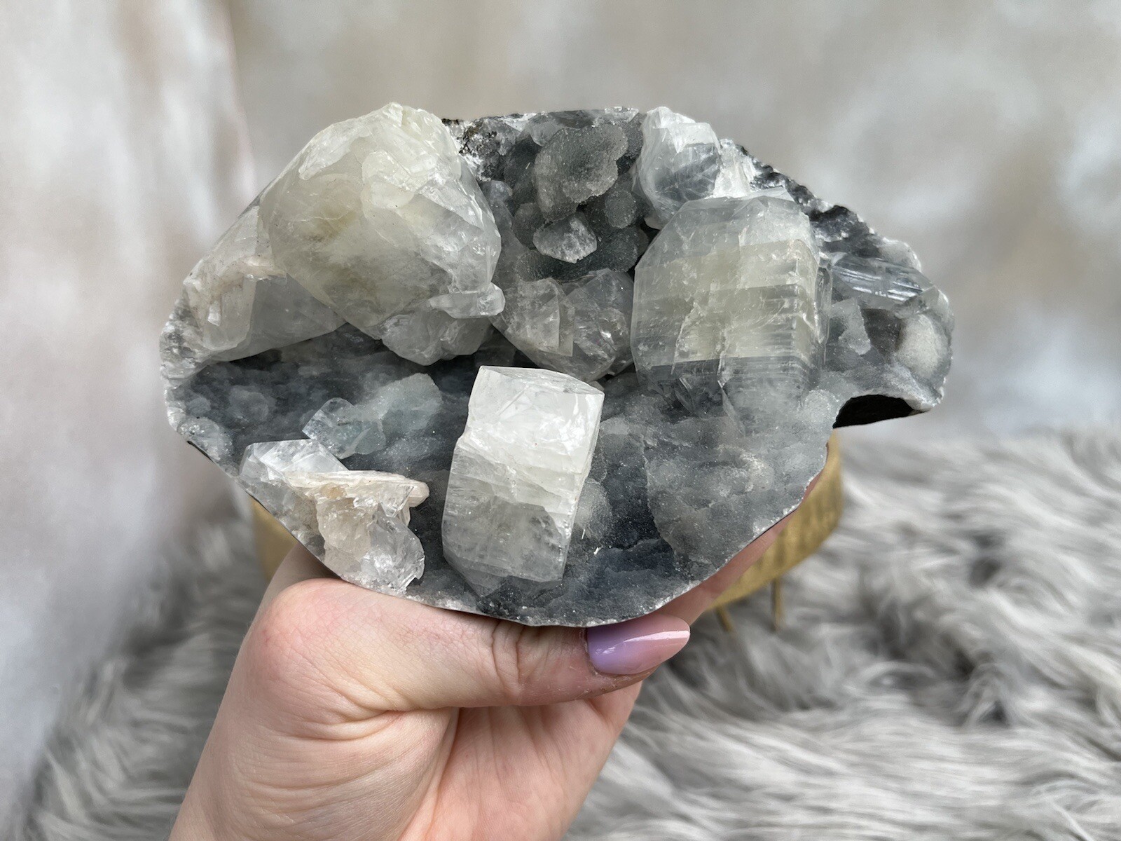 Shiny Black Chalcedony Coral and Apophyllite Geode on Matrix | eBay