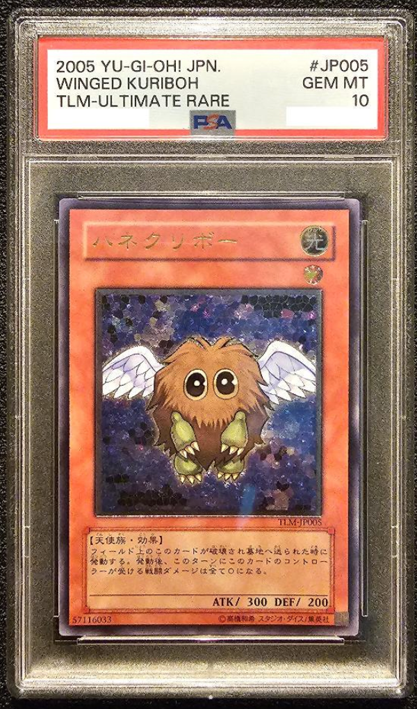 Winged Kuriboh Yu-Gi-Oh! Konami Japanese PSA 10 Gem Mint JP005 2005 | eBay