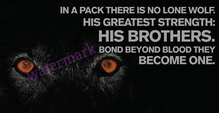 Wolf Packs Quotes