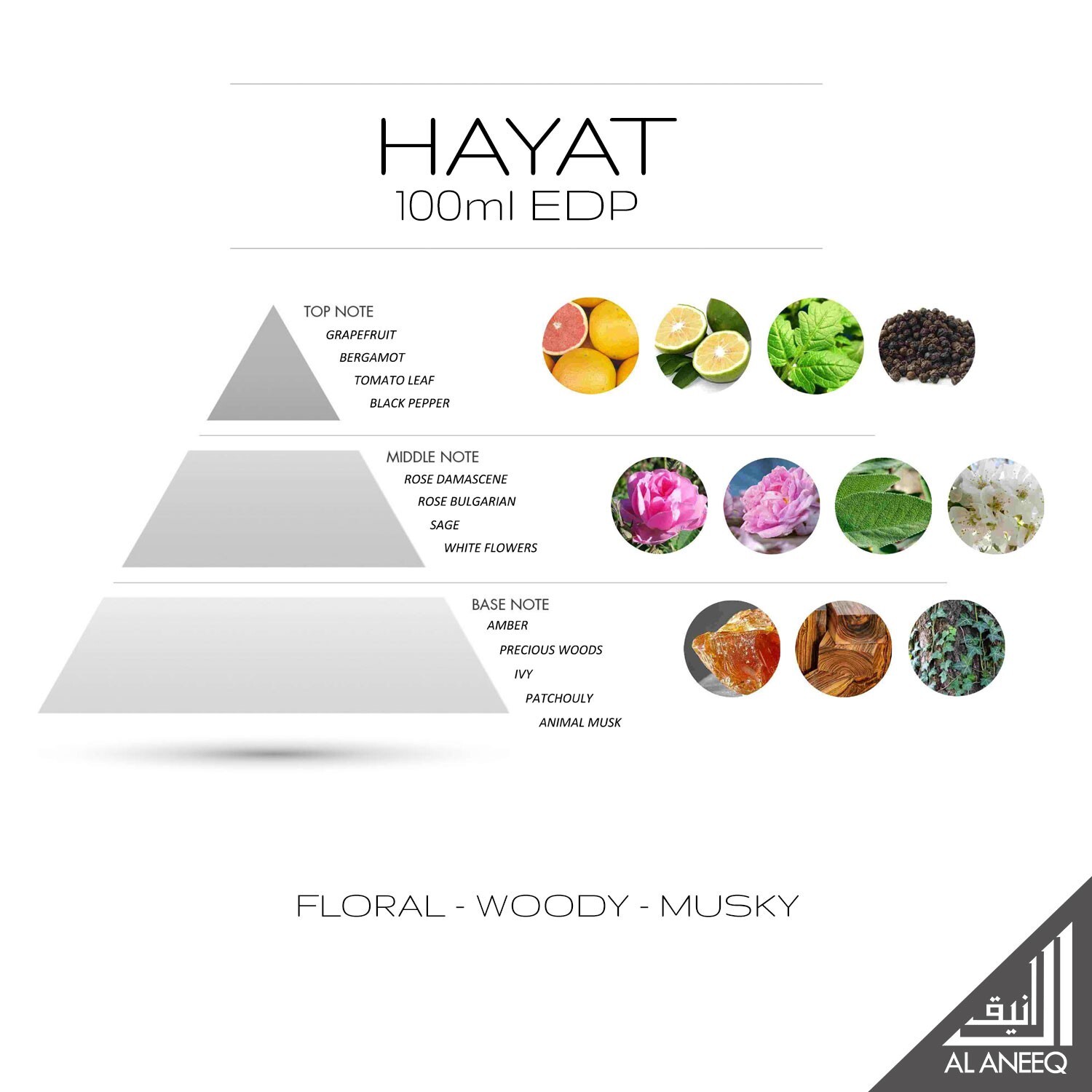 Hayat Eau de Parfum by Al Aneeq Premium Woody Musk Unisex Arabian ...