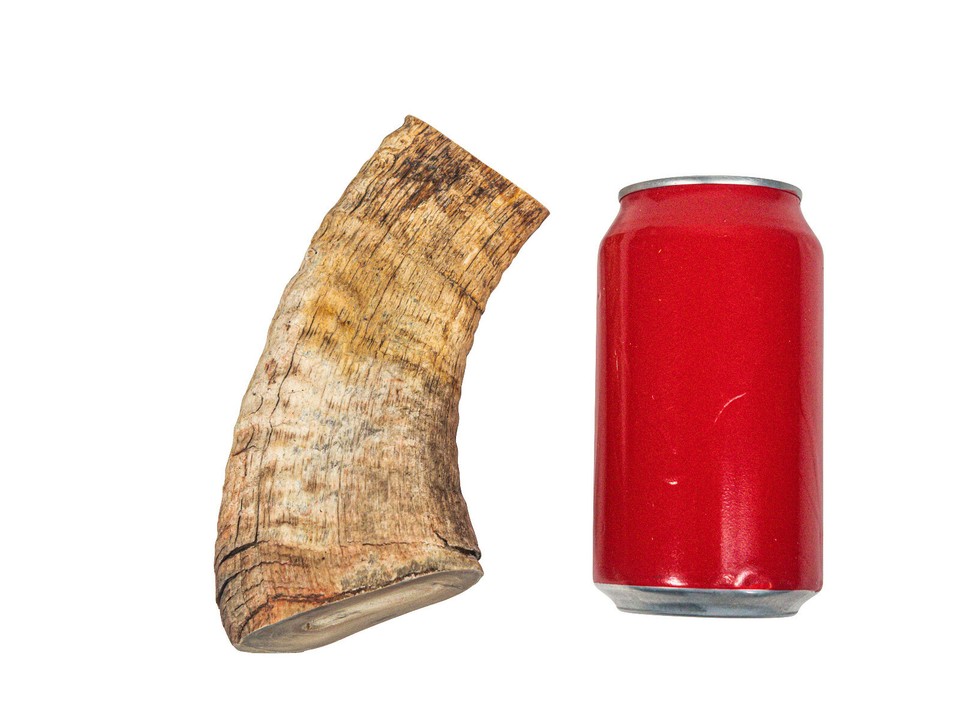 Dahl Sheep Horn Piece (311-G6033) 8UN8 | eBay