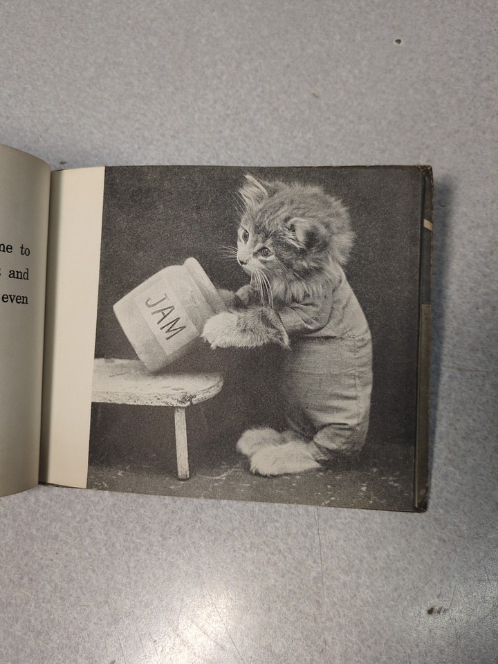 Four Little Kittens Vintage 1934/1936 HC Story Book Kittens In Costume ...