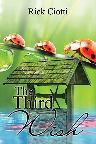 The Third Wish 9781543457223| eBay