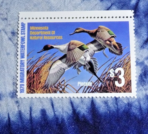 MINNESOTA STATE DUCK STAMP [#164222} $3 MN3 "PINTAILS" 1979 MNH/OG FAIR ...