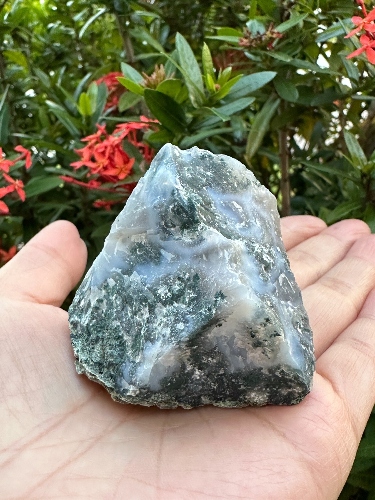 Grade A+Large Tree Agate Rough Stone, 2-3" Raw Tree Agate Crystals,Pick ...